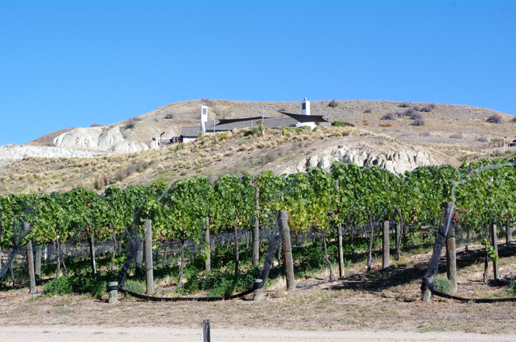Exploring Central Otago’s wines | Tim Unwin's Blog
