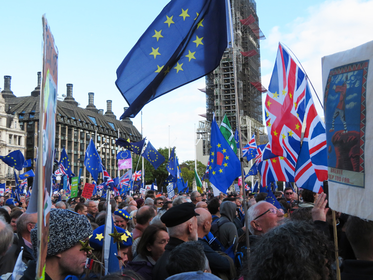 Marching for a “People’s Vote”, 19th October 2019 | Tim Unwin's Blog