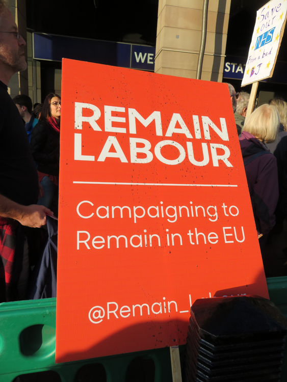 Marching for a “People’s Vote”, 19th October 2019 | Tim Unwin's Blog
